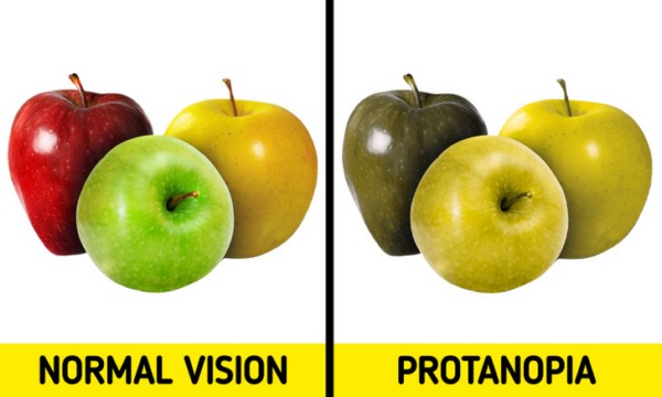 How Colorblind People See The World